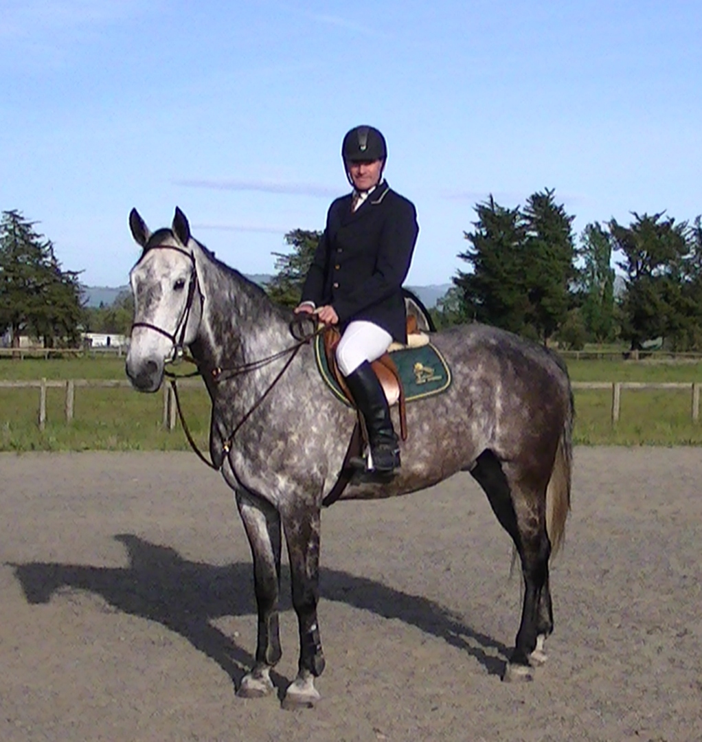 Clay Jackson Stables - Home